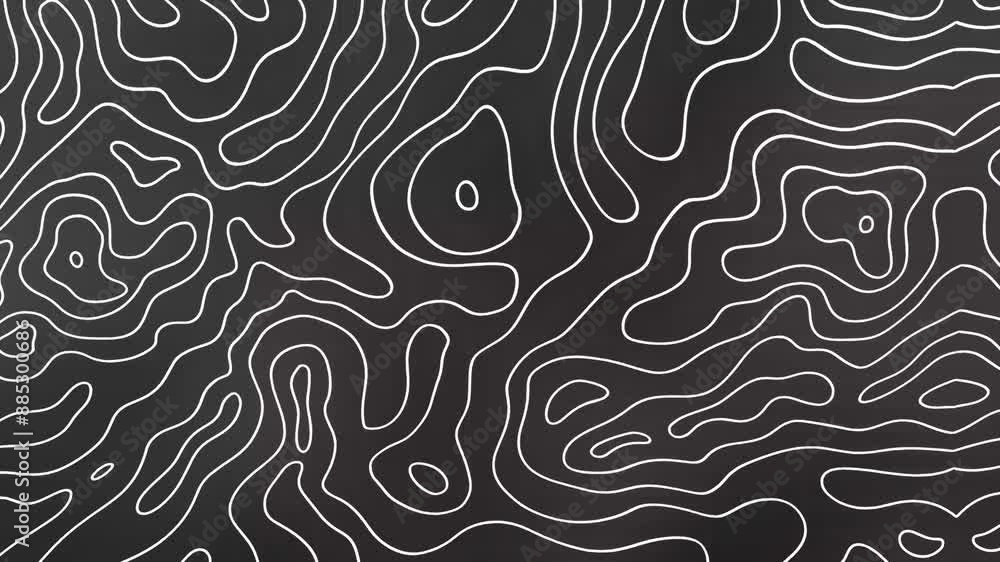 contours Geographic mountain topography vector illustration ...