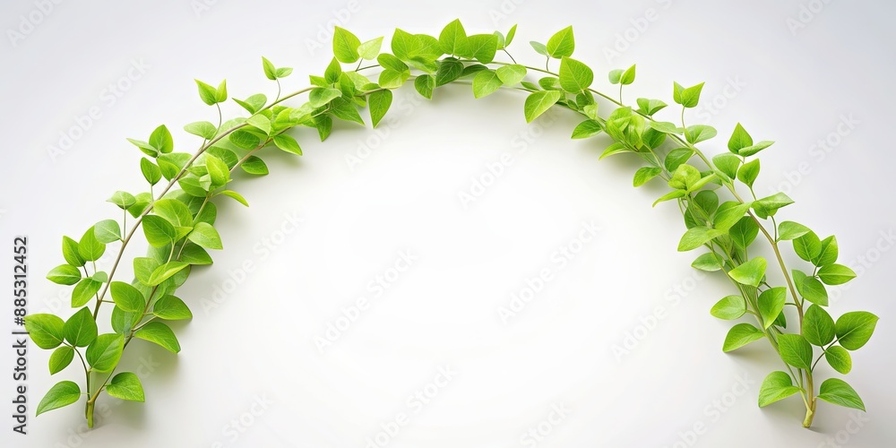 Dynamic arc of green leaves and tender stems symbolizing growth and ...