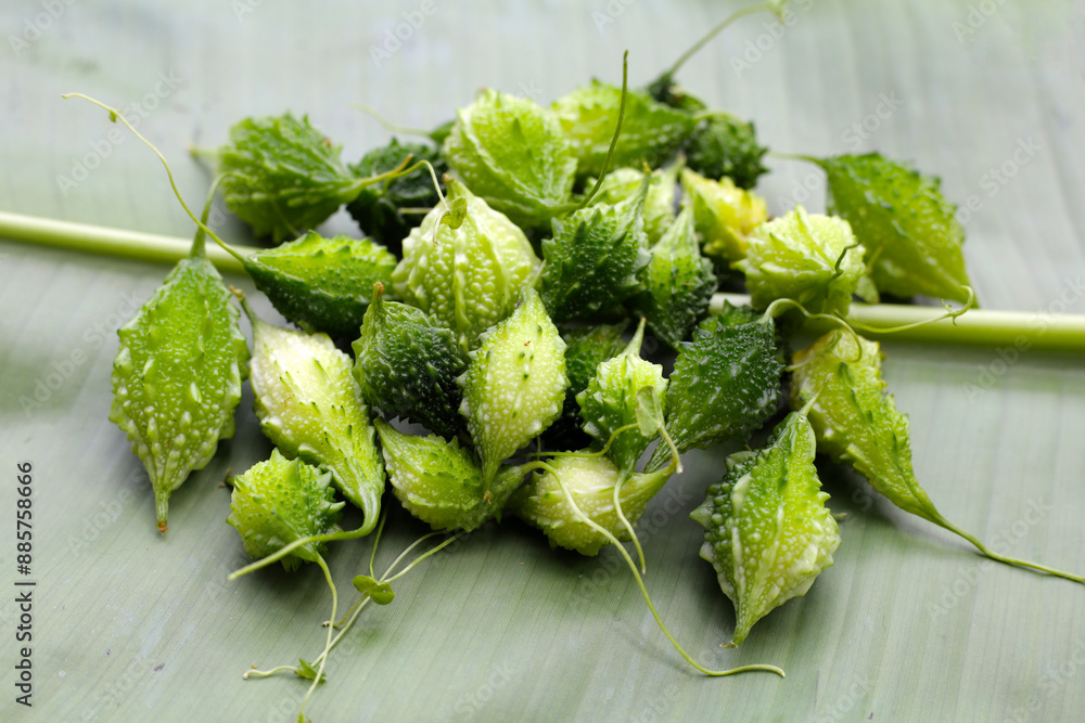 Balsam pear, Bitter cucumber, Leprosy gourd Stock Photo | Adobe Stock