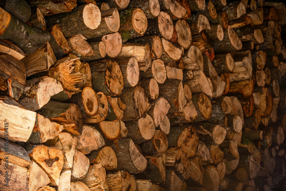 Pile of wood logs. Round teak wood trees circle stumps cutted group ...