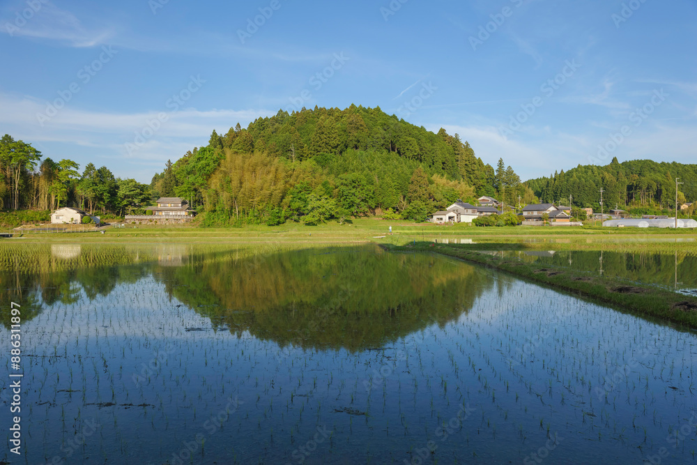 Rice paddies after rice planting, Japanese farming village in summer ...