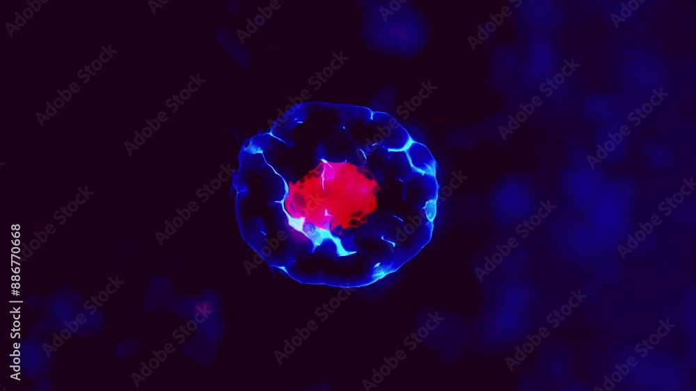 3D Animation of Cell division under a microscope. Dividing and ...