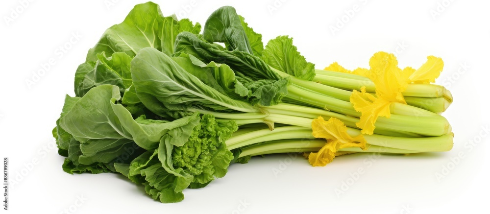 Choy vegetable with yellow flowers on a white background is a popular ...