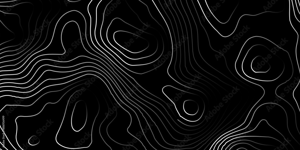 Topographic map background geographic line map with elevation ...