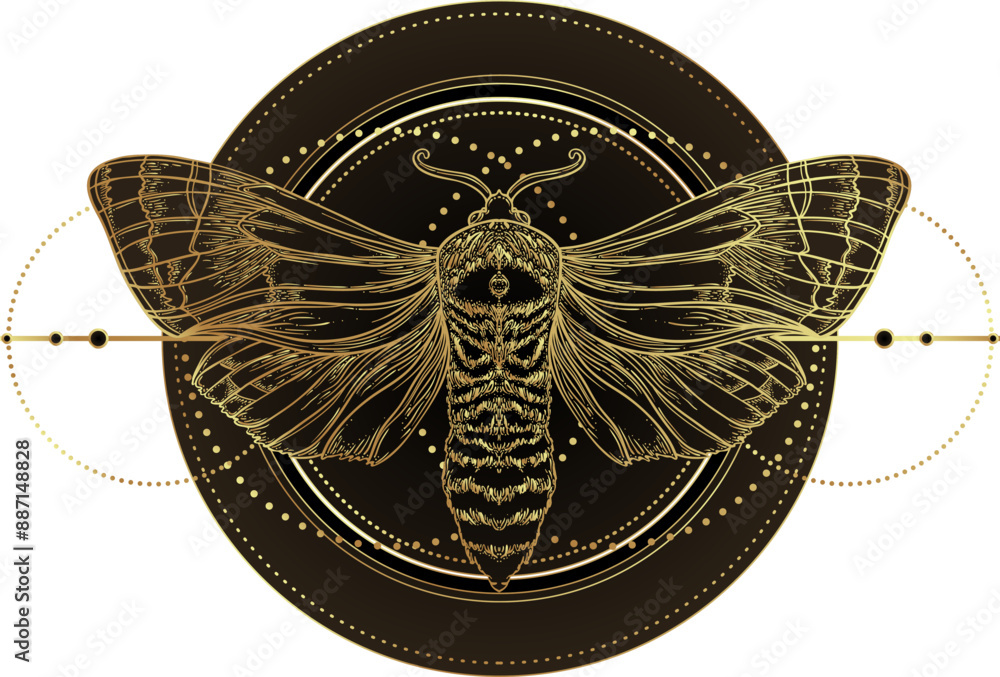 Poster Golden moth over sacred geometry sign, isolated vector ...