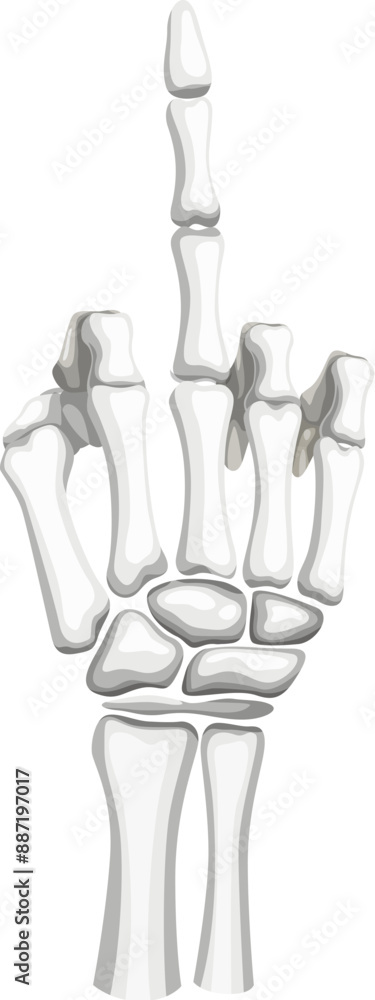 Skeleton hand gesture. Isolated vector skeletal arm defiantly extends ...