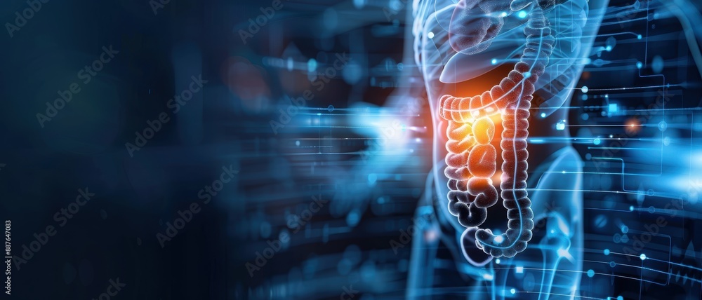 A diagram showing the human digestive system with highlighted sections ...