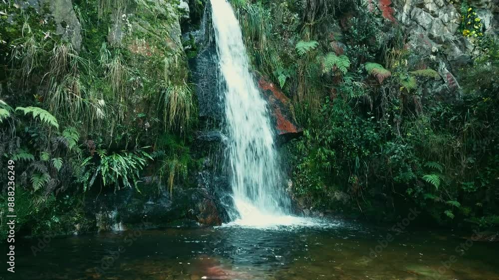 Sendero Ecológico en la Quebrada Las Delicias Explora la biodiversidad ...