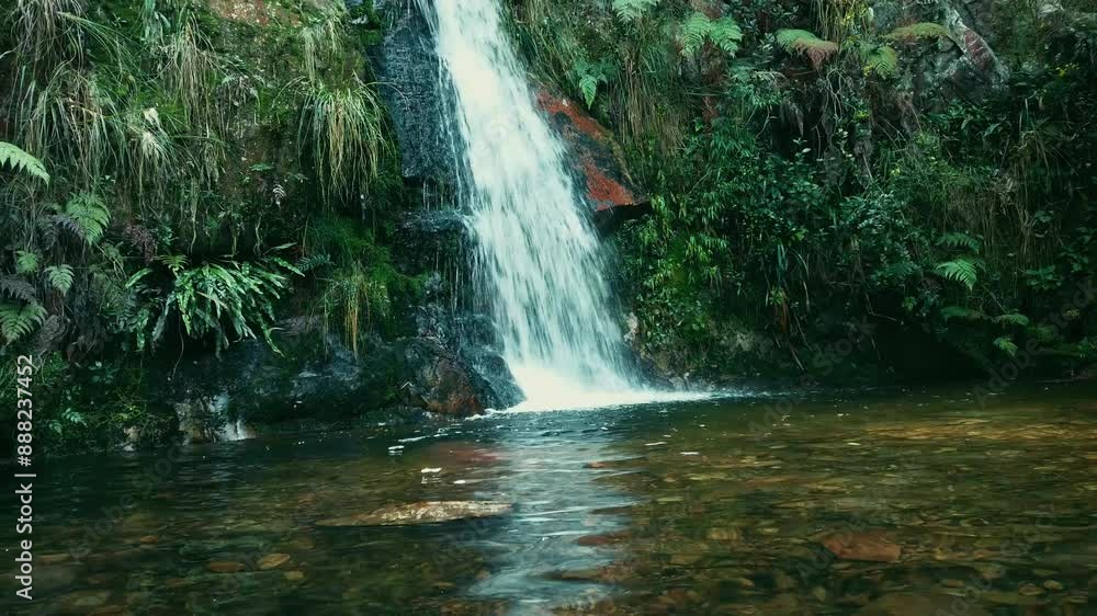 Cascada en la Quebrada Las Delicias Captura la fuerza y belleza de la ...