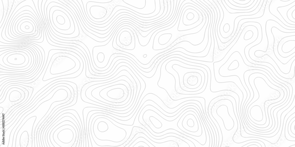 Vector white wave line geography landscape Topo contour map on white ...