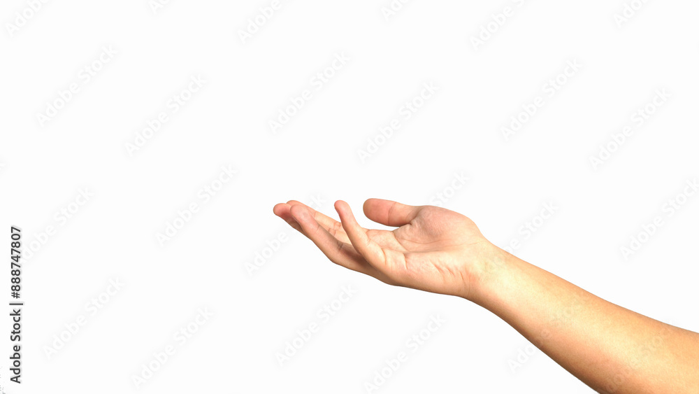 Hand arm isolated white take up hold person. Reach grab man gesture ...