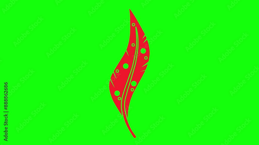 ethnic illustration video animation feather american indigenous ...