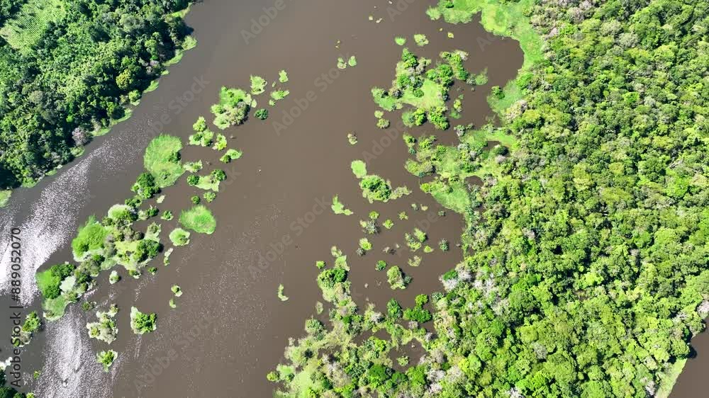 Amazonian Forest At Manaus Amazonas Brazil. Amazon Rainforest Showing ...