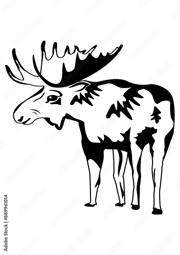 Moose | Hunting Season | Moose Antlers | Wild Life | Moose Family ...