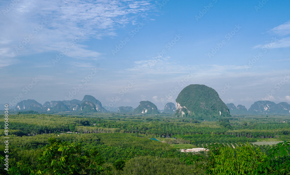 Tropical mangroves and limestone pinnacles in a shallow ocean ...