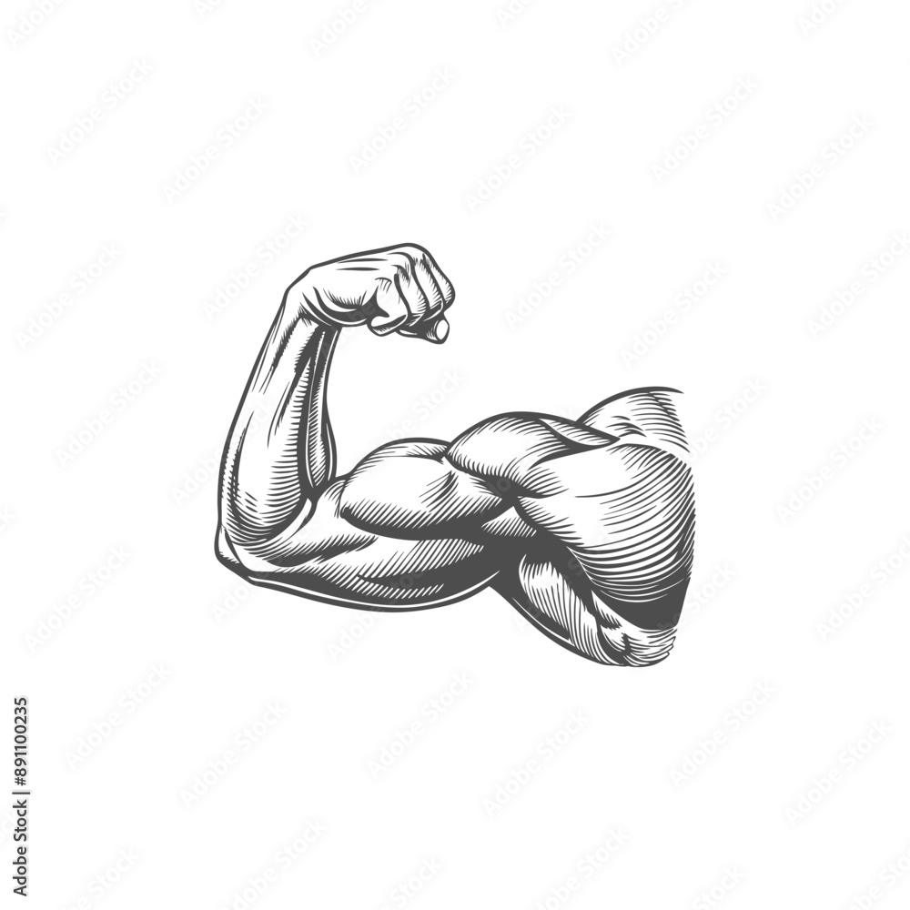 strong muscle arm engraving hand drawn illustration isolated white ...