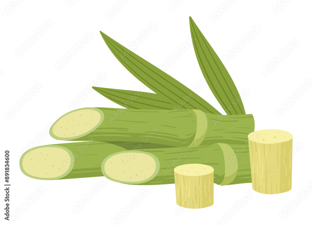 Cartoon sugarcane stems with green leaves. Sugarcane sprouts, chopped ...