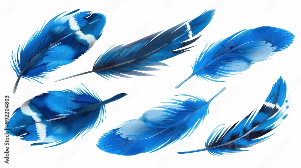 Vibrant blue jay feather clipart set, beautifully illustrated in ...
