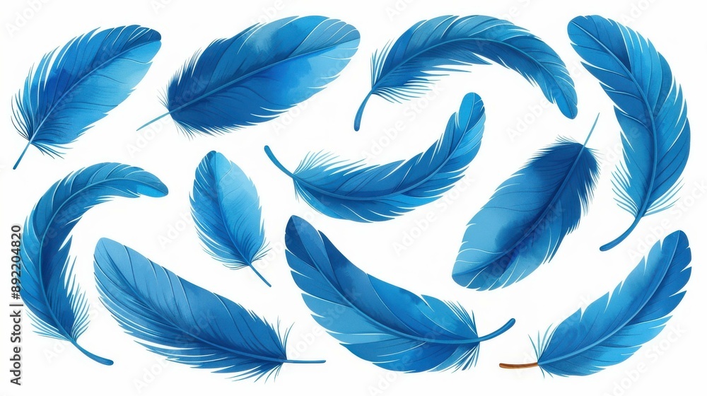 Vibrant blue jay feather clipart set, beautifully illustrated in ...