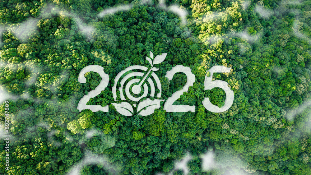 goal 2025 New Year Green business planning and development for ...