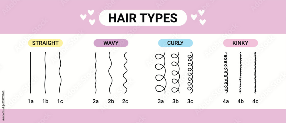 hair types beauty Classification. straight, wavy, curly, kinky. Scheme ...