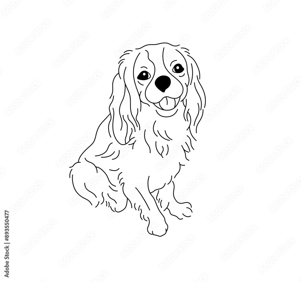 Vector isolated one single simple sitting king charles spaniel full ...
