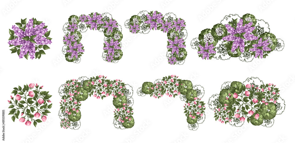 Blossom roses and lilac trees for architectural floor plans. Entourage ...