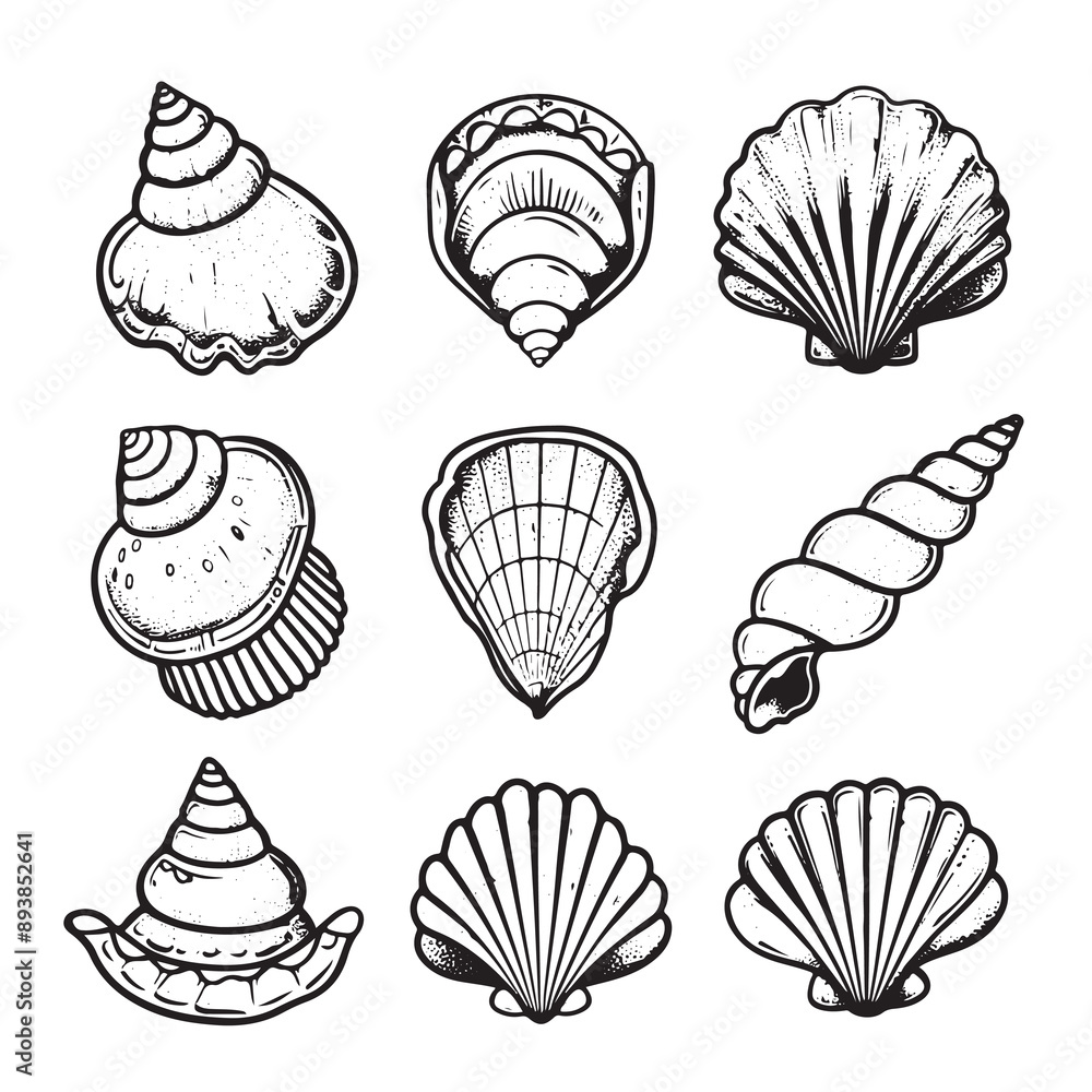 seashell outline illustration. Seashells vector set. Hand drawn ...