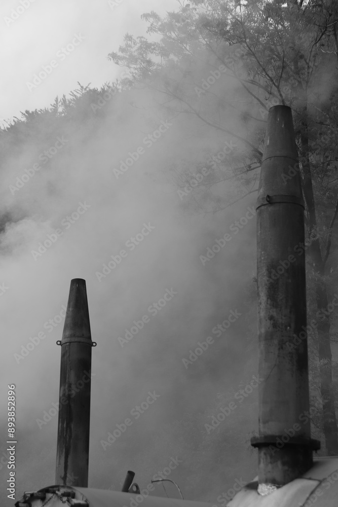 smoke between trees coming out of two chimneys of a retort for burning ...