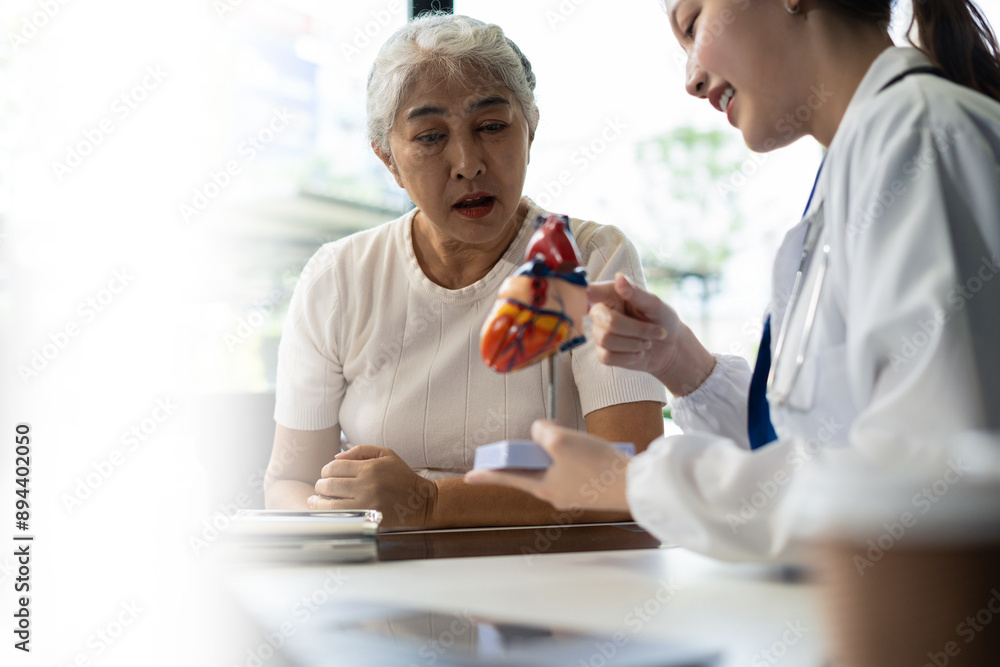 doctor shows a model of how the heart system works, doctors explaining ...
