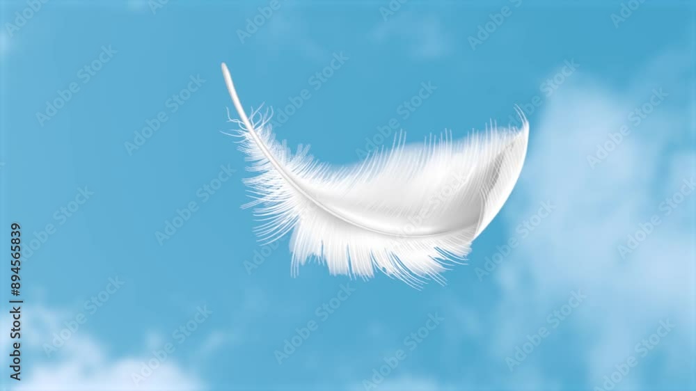 Vidéo Stock feather descent background/ falling feather art background ...
