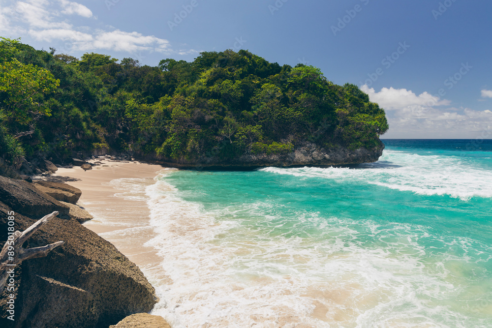 Pristine turquoise ocean water and white sand beach on an island in the ...