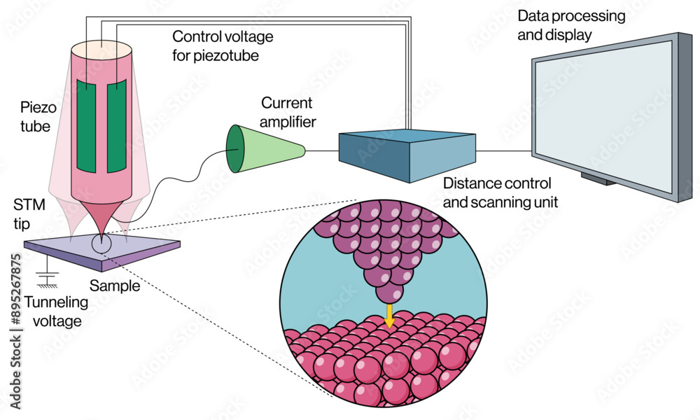 Detailed Vector Illustration of Atomic Force Microscopy Principle and ...