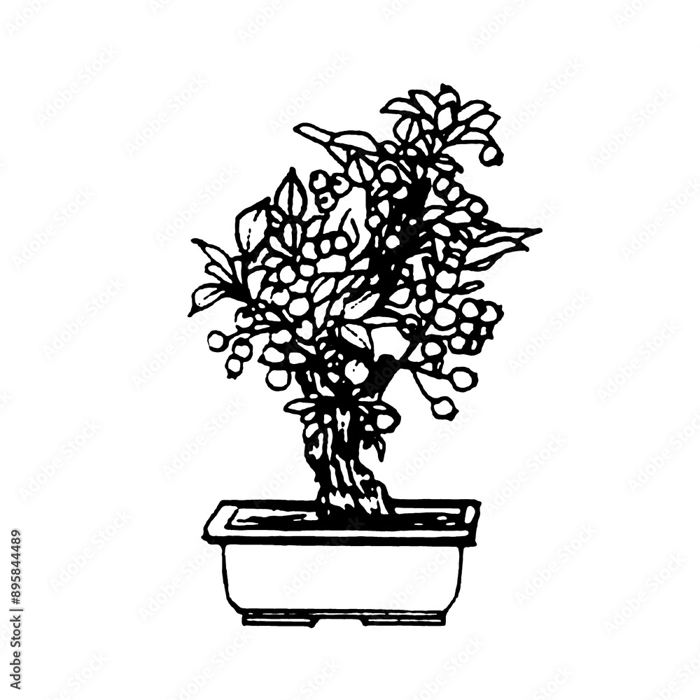 hand draw sketch of tree plant planter pen drawing for interior design ...