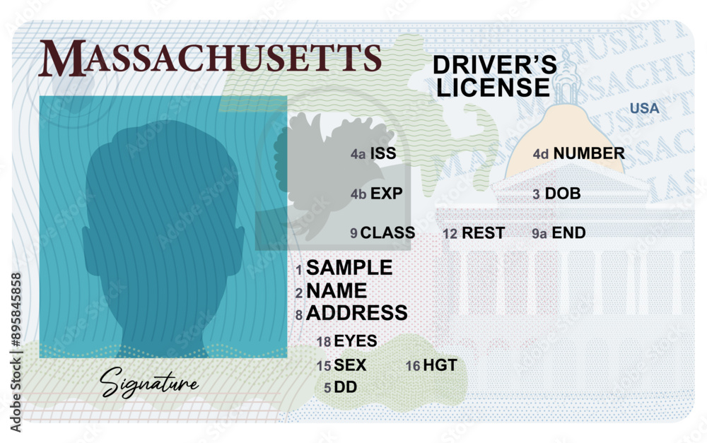 Massachusetts driver's license isolated on white background. Person ...