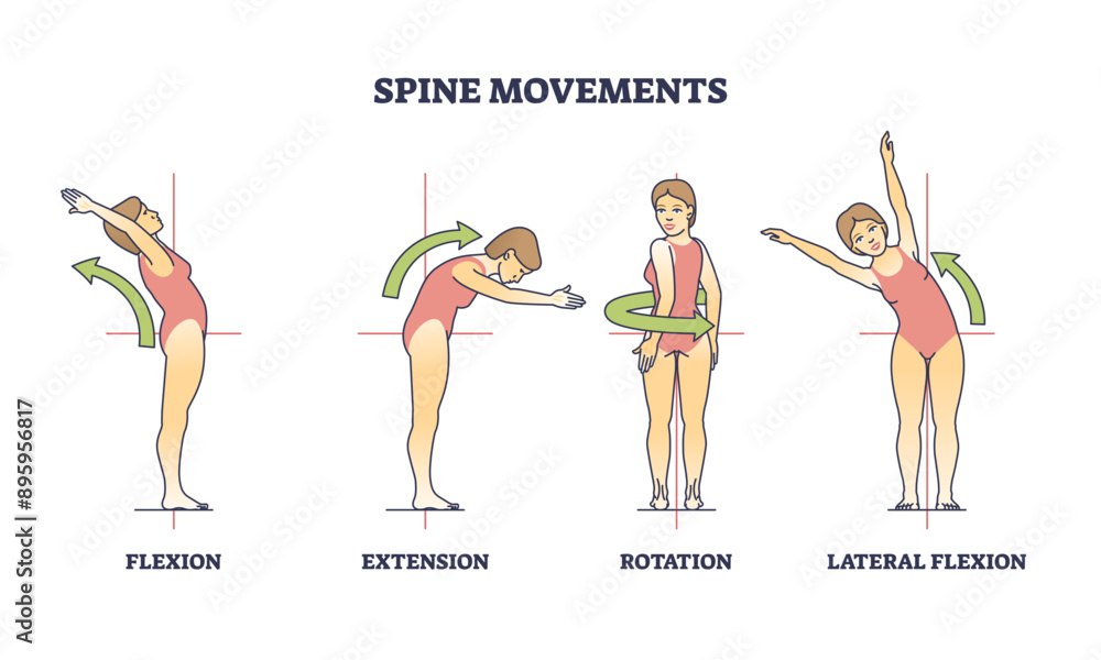 Spine movements with flexion, extension and rotation poses outline ...
