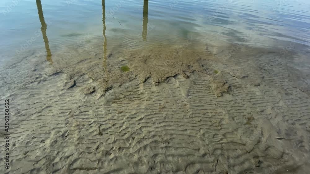 Brahmaputra River | Rivers of Northeast India | Brahmaputra river water ...