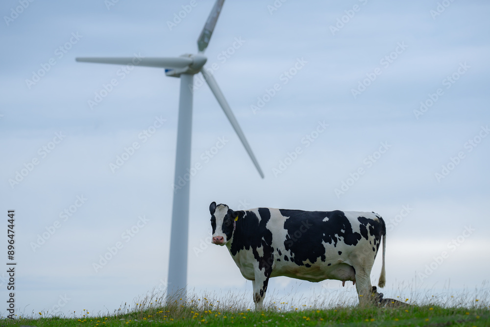 Green energy concept. Eco farm. Wind energy. Eco farming. Green ...