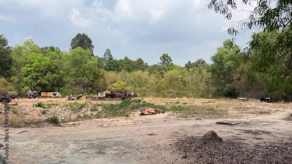 Cu Chi, Viet Nam Cu Chi tunnels were the Viet Cong's base of operations ...