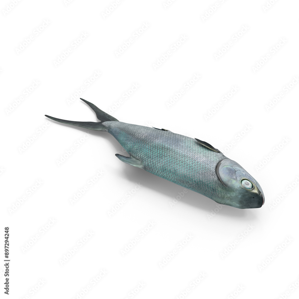 Realistic 3D Raw Bangus Dead Fish PNG Images | High-Quality Fish ...