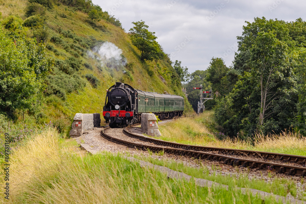 Discover a captivating steam engine chugging along a scenic railway ...
