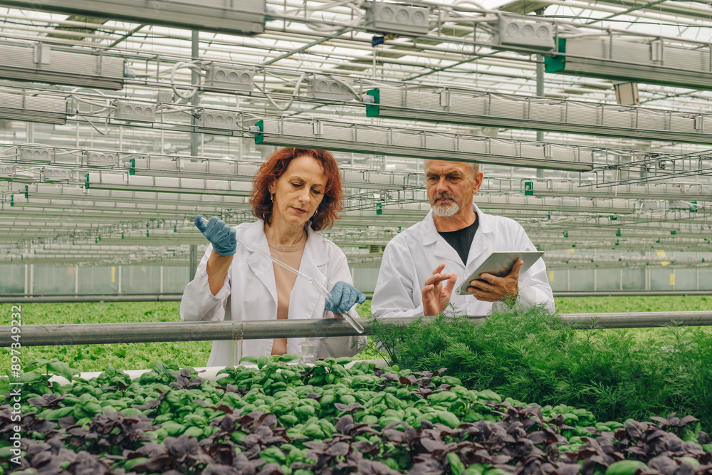 Two scientists from healthy eating research center, laboratory workers ...