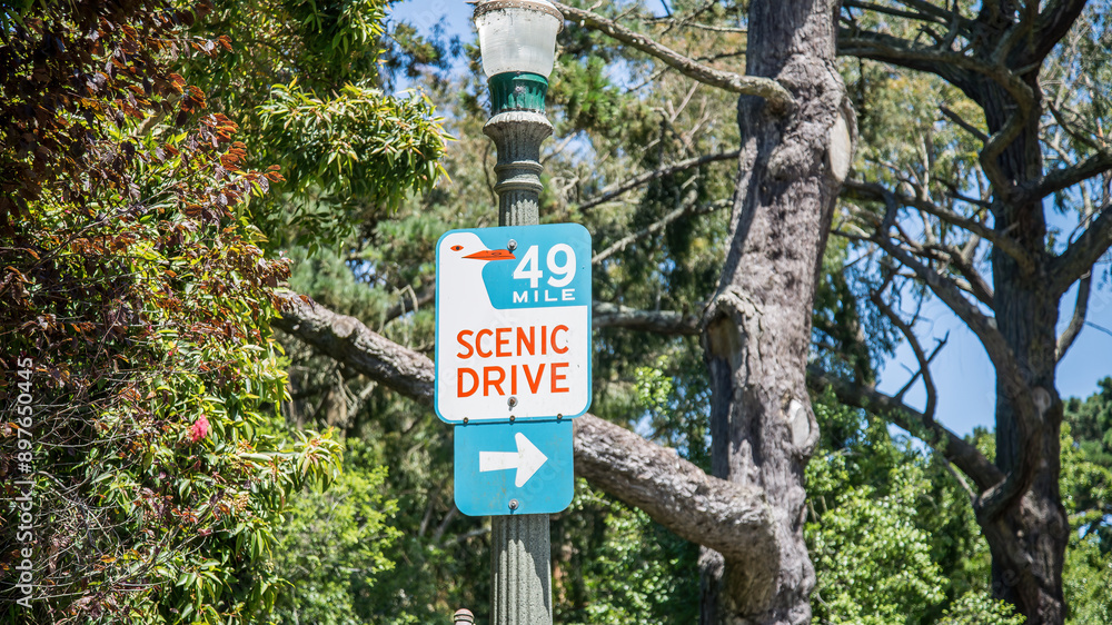 San Francisco sign of scenic drive 49 mile. Road sign for Scenic Drive ...