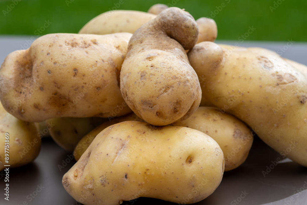Ratte potato, La Ratte, La Reine Ratte du Touquet, or Asparges small ...