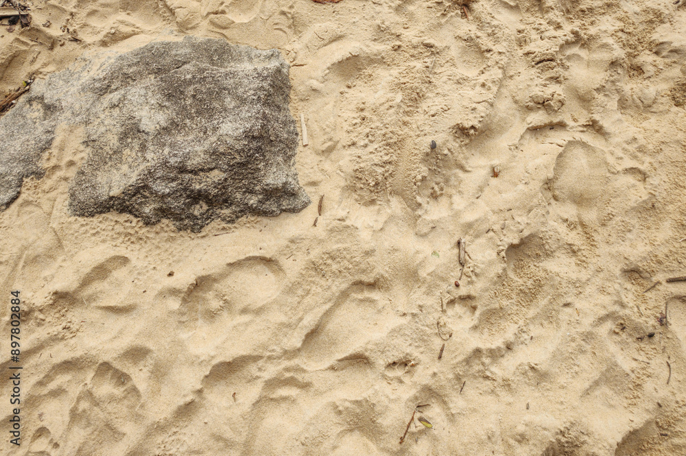 Sand beach sea river water stone rock cement sidewalk street road path ...