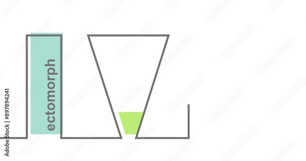 Body types animated presentation. Minimalistic geometry style ...