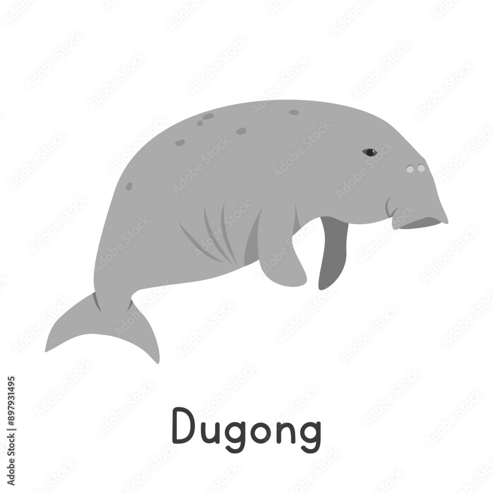 Dugong vector illustration. Cute dugong or sea cow cartoon clipart ...