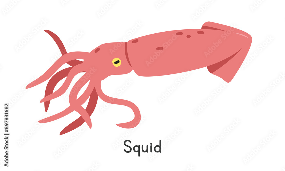 Squid vector illustration. Cute squid cartoon clipart, animal in flat ...