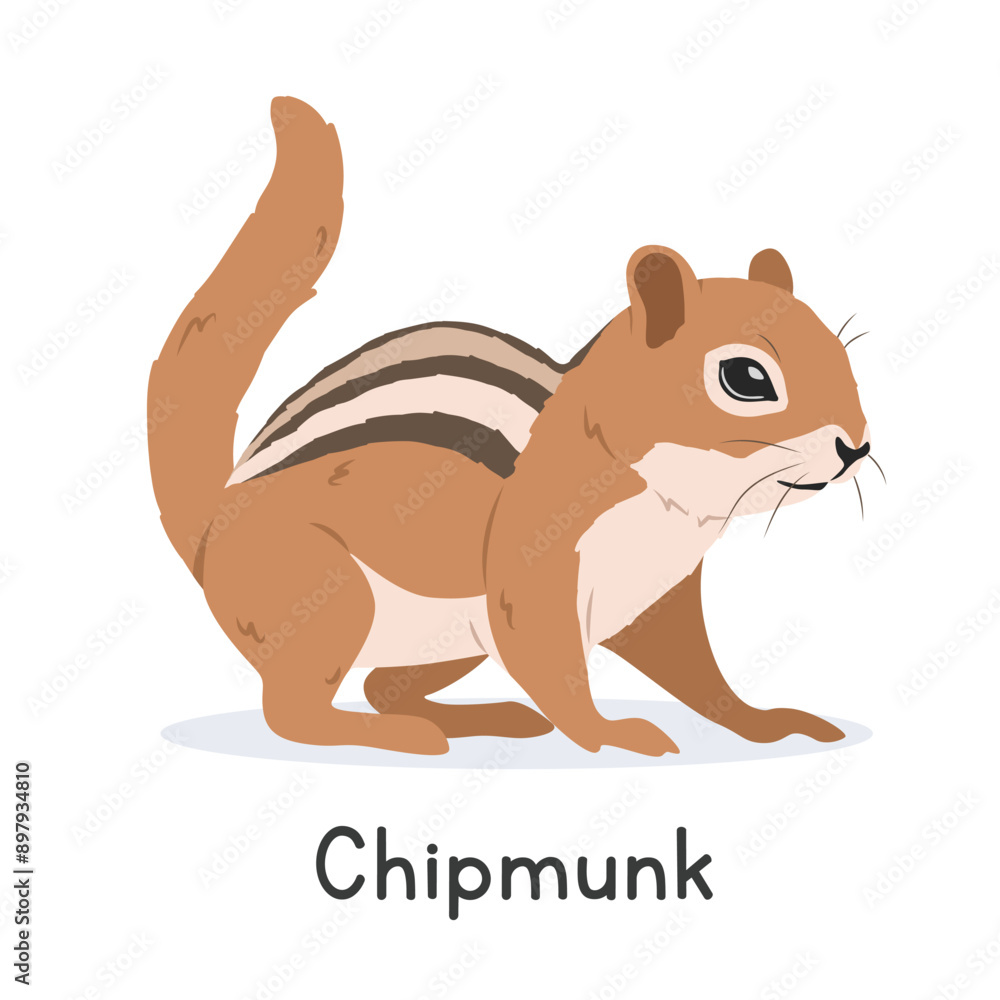 Chipmunk vector illustration, cartoon clipart character, animal in flat ...