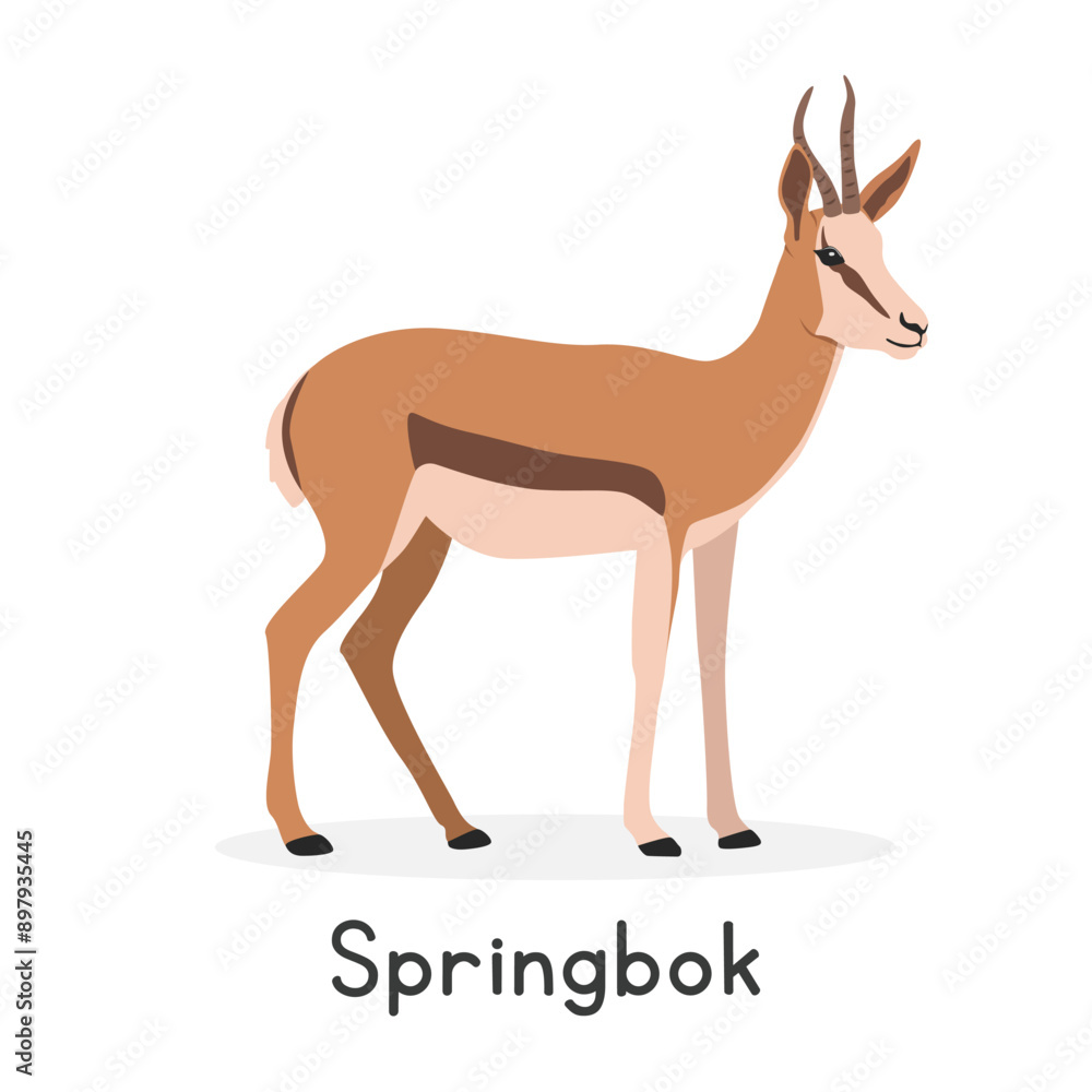 Springbok vector illustration, cartoon clipart character, animal in ...